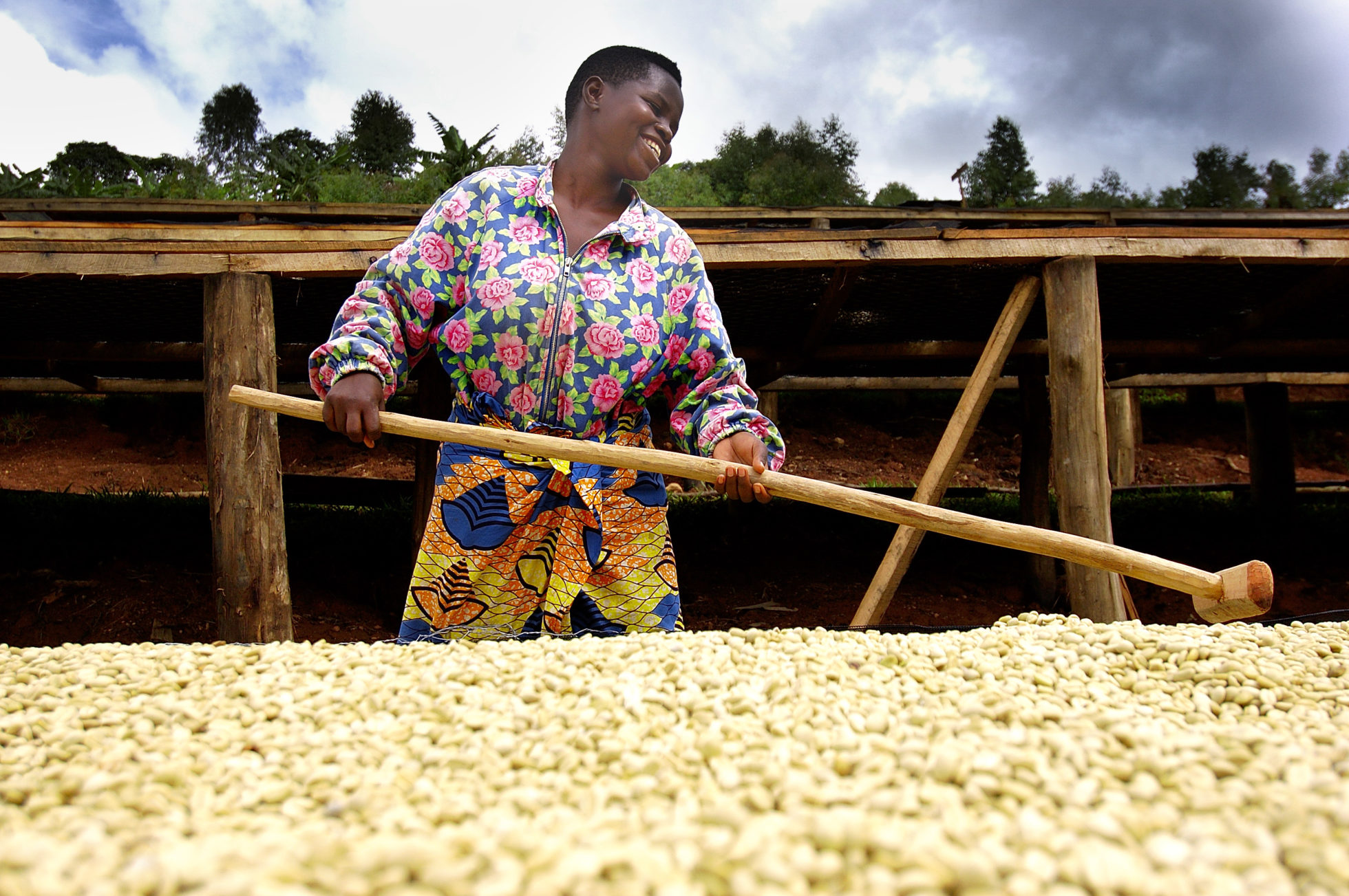 Root Capital Shockwave Foundation